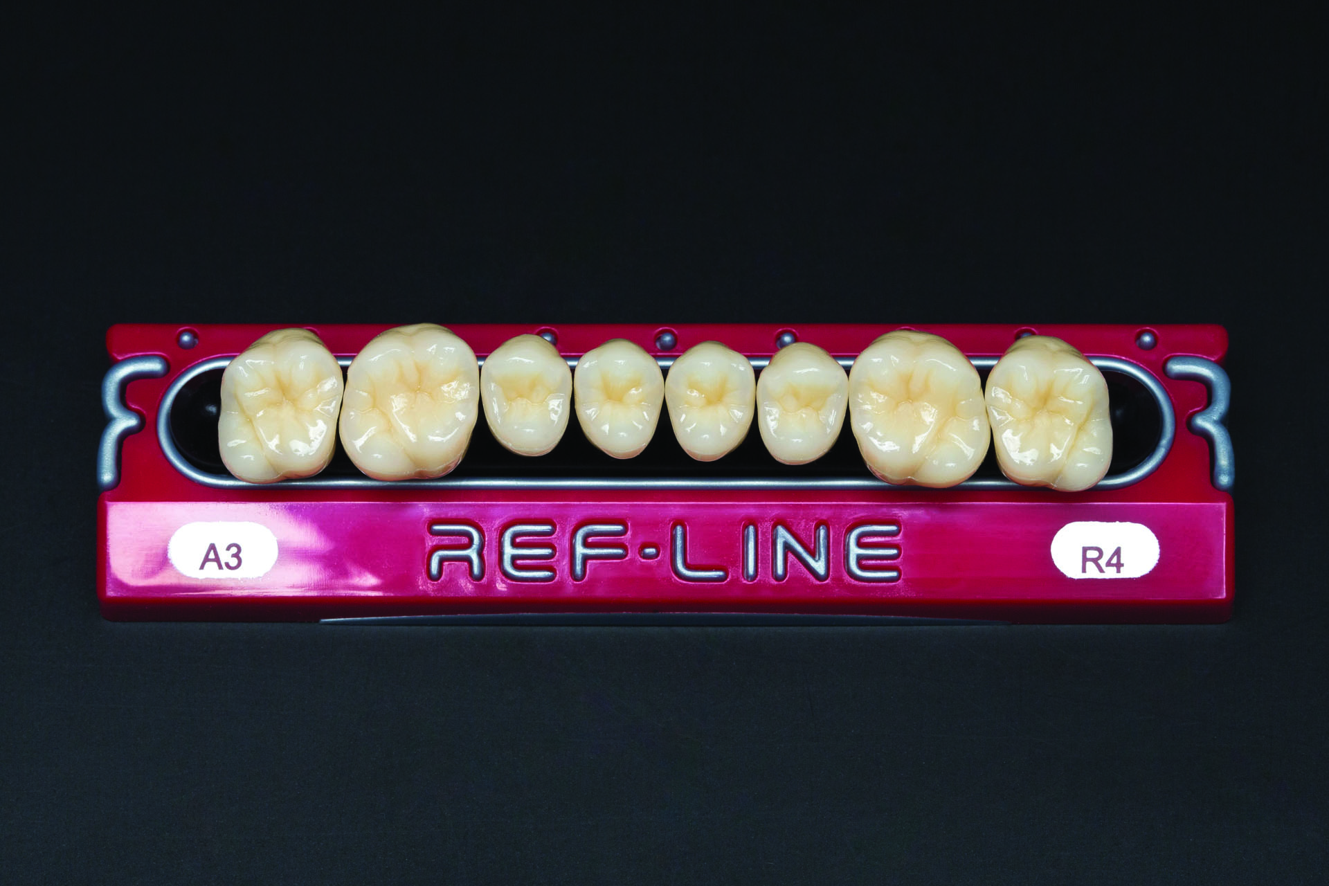 Polident REF-LINE akrilni zubi - Gema d.o.o. | stomatološka oprema